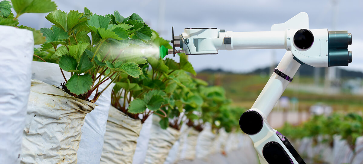 Embedded software and computer vision algorithms for an agricultural robot.